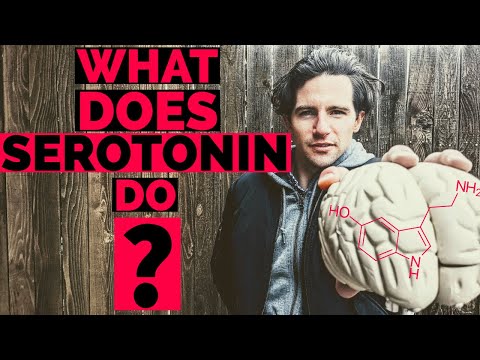 The Function of Serotonin | Robin Carhart-Harris and David Nutt Adversity Hypothesis