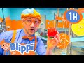 Blippi Museum Count Watch HD Mp4 Video Download Free