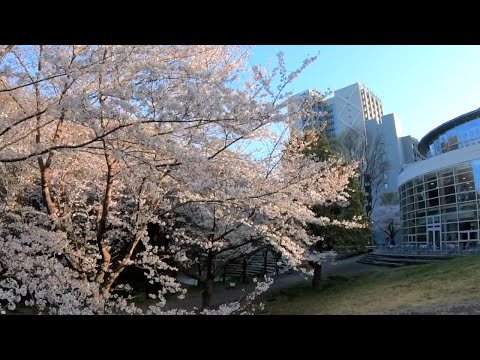 Tokyo Institute of Technology (Tokyo Tech) : Rankings, Fees & Courses ...
