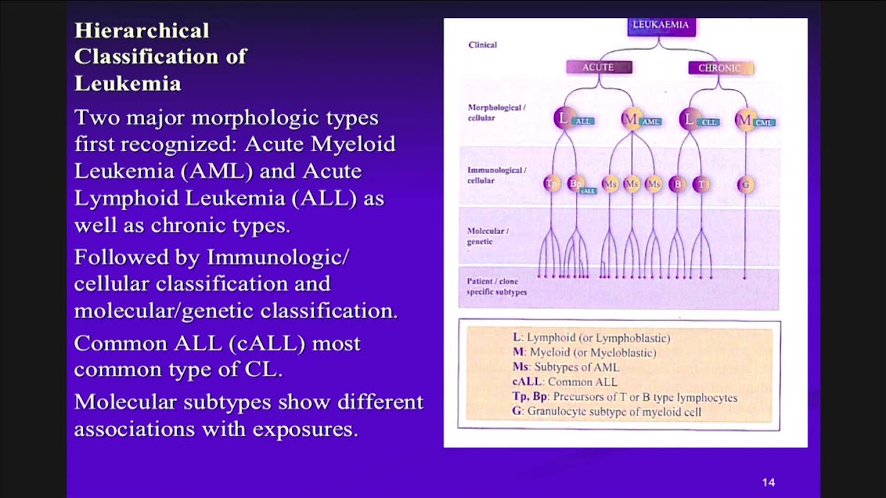 Leukemia Classification - Dr. Patricia Buffler