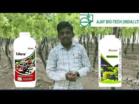 Ajay Bio-Tech India Limited, Pune - Manufacturer of Bio Insecticide and ...