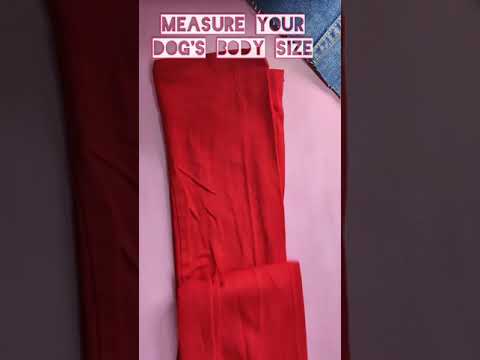 Easy Dog clothes /DIY/ Only using leggings/ Mallow..