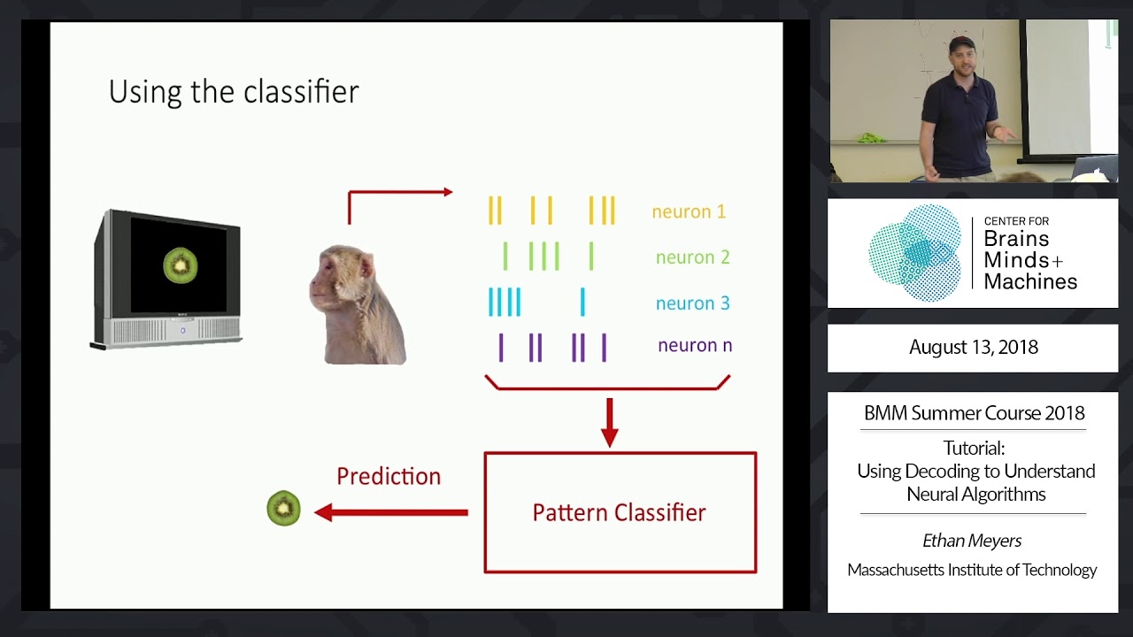 Tutorial: Using Decoding to Understand Neural Algorithms