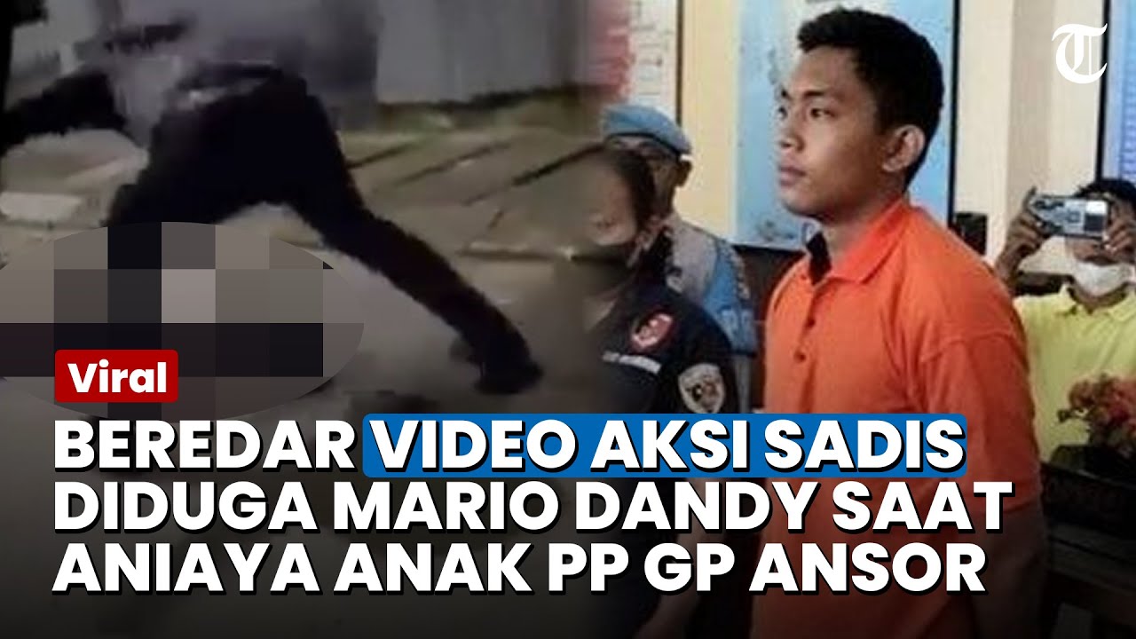 Mengerikan Terekam Aksi Sadis Diduga Dilakukan oleh Anak Pejabat Pajak ...