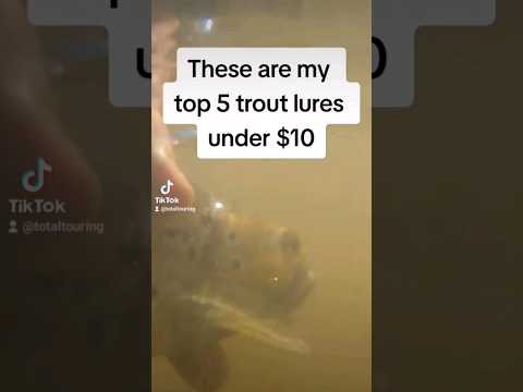 The best trout lures for under $10! #troutfishing #fishing #fishingaustralia #trout #fishinglures