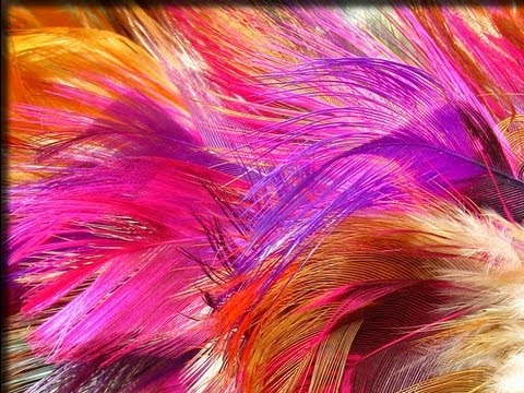 Lush Feathers, Boas and Fans