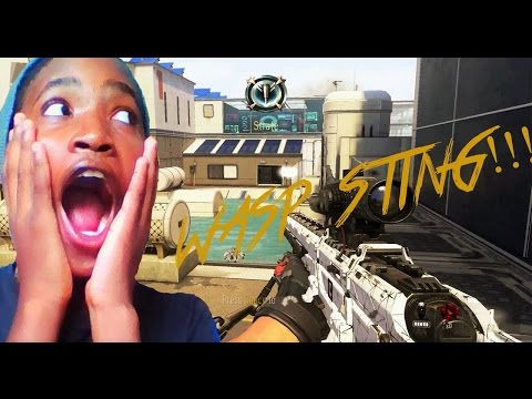 Steam Community :: Video :: I Got Stung By A Wasp!!| Call of Duty ...