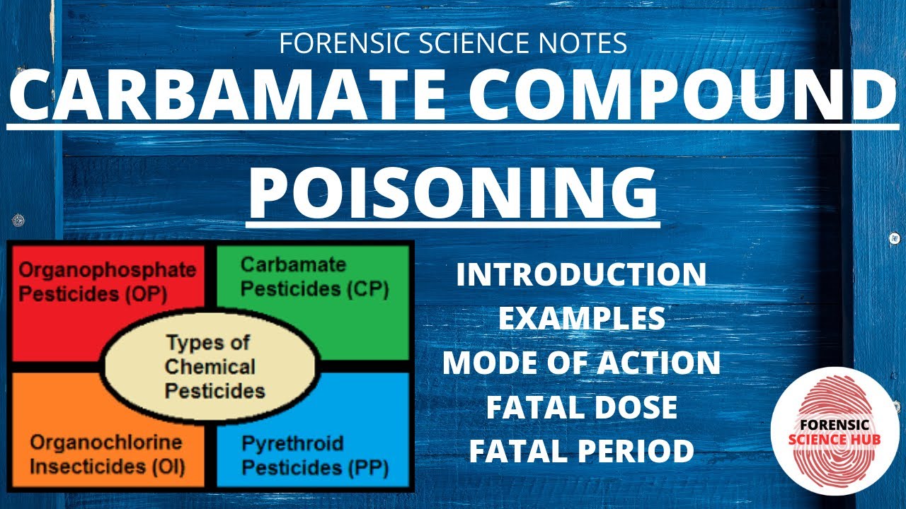 Understanding Carbamate Poisoning: A Deep Dive into Insecticides ...