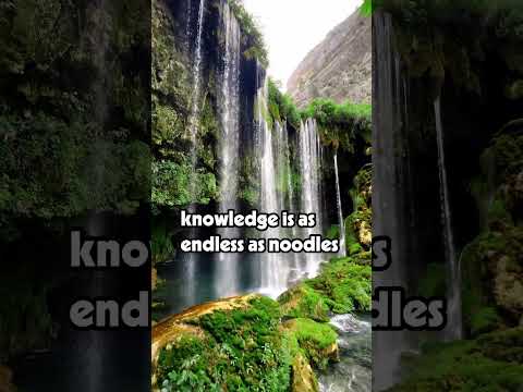 Daily motivation by Liang Day 1 #chinese #motivation #shorts