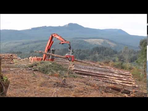 Levanen Inc. Tree Farm Management