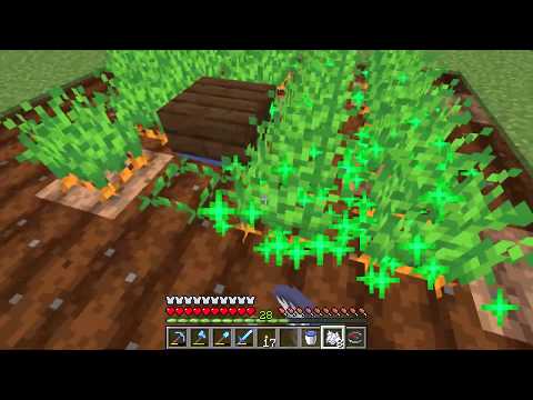 How to start a Carrot Farm with only one Carrot - Minecraft