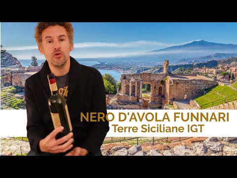 Degustazione NERO D'AVOLA siciliano Cantina Mimmo Paone