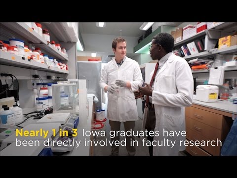 Undergraduates contribute to scientific discovery at the University of Iowa