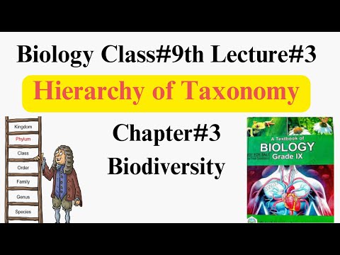 Hierarchy of Taxonomy Chapter 3: Biodiversity Class9th Biology in Urdu/Hindi