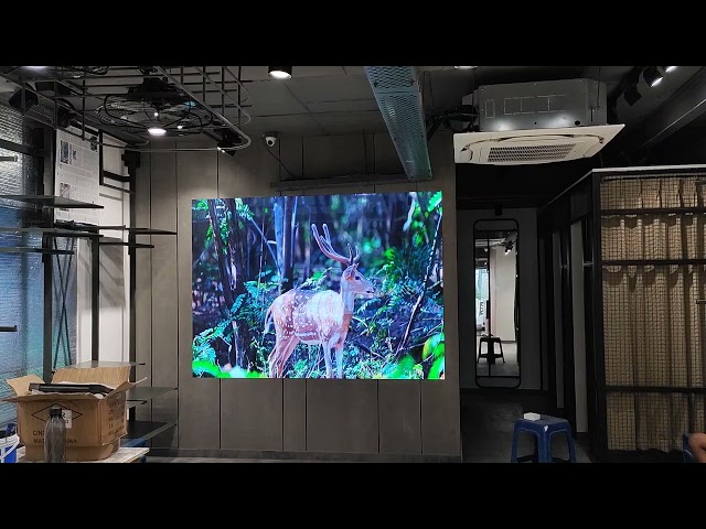 LED Display Module - P2. 5 Mm Indoor LED Video Wall Manufacturer from ...