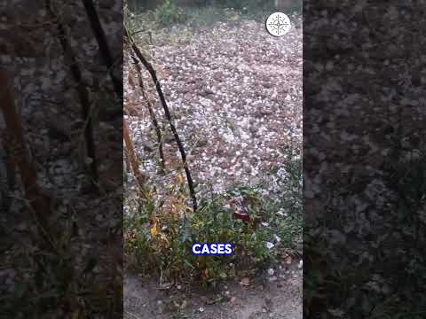 What is Hail?