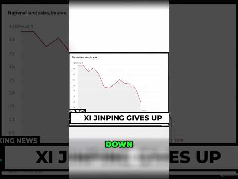 China's Hidden Economic Crisis: Data Disappears!