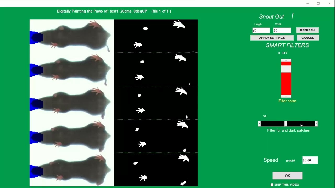 DigiGait Analysis: Preprocessing