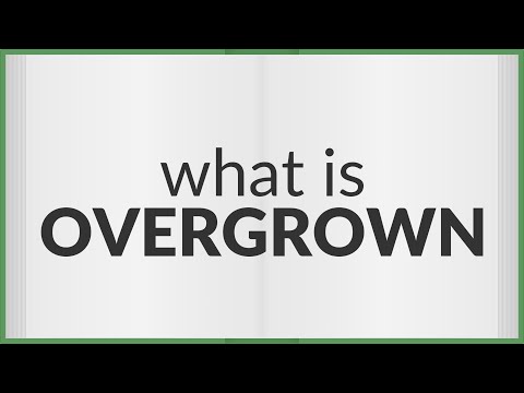 Overgrown | meaning of Overgrown