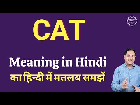 CAT meaning in Hindi | CAT ka kya matlab hota hai | daily use English words