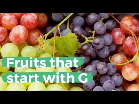 Fruits That Start With G