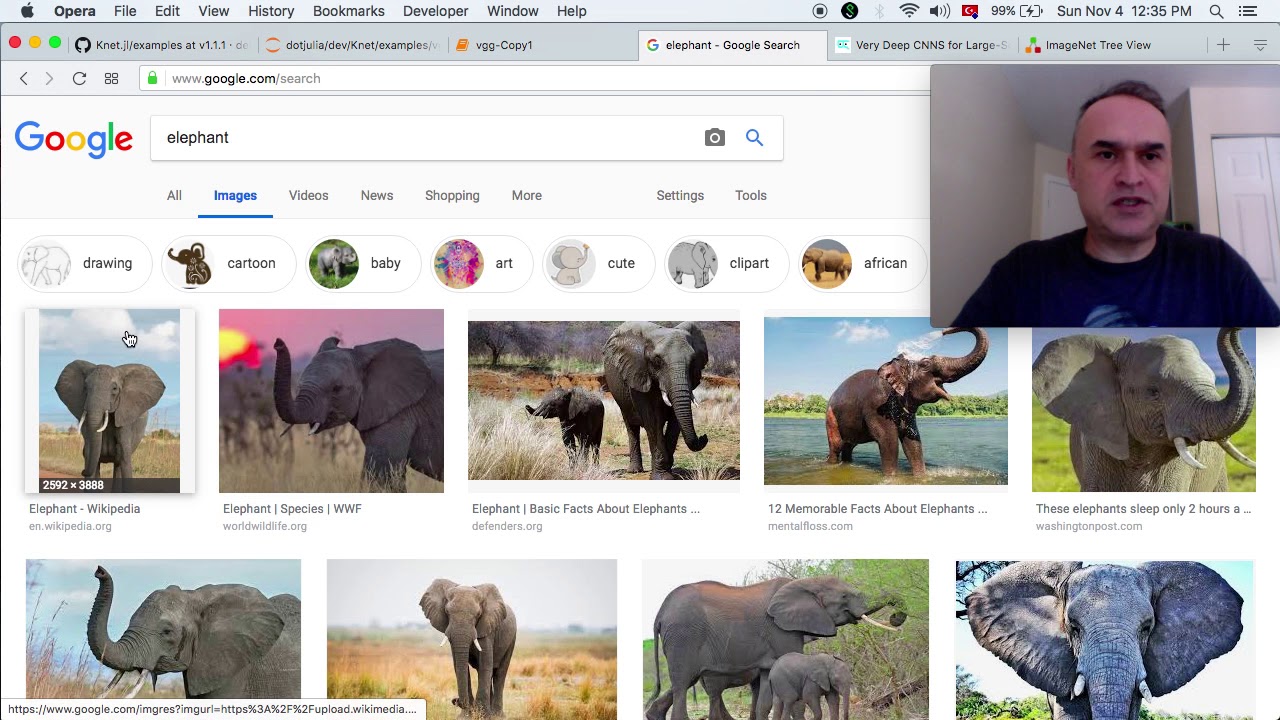 Image Classification