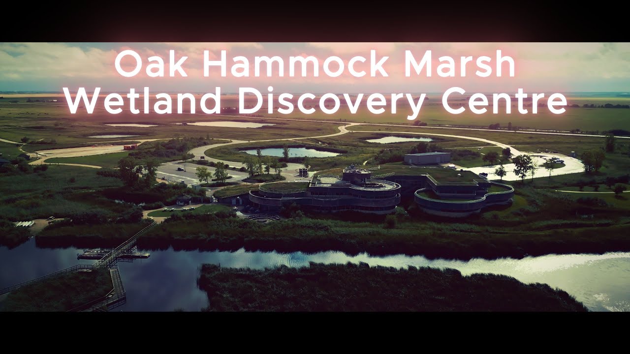 Explore Oak Hammock Marsh Wetland Discovery Centre | Manitoba Canada