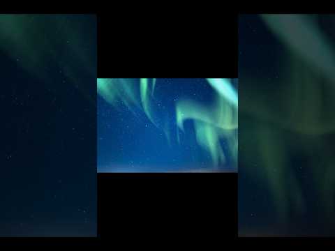 Photons in Plasma