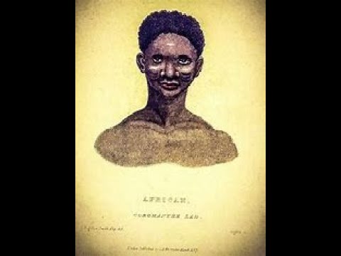 Who are the Negroes of America Part1