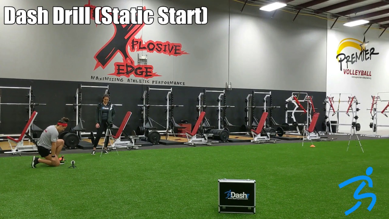 Running a dash with Dashr