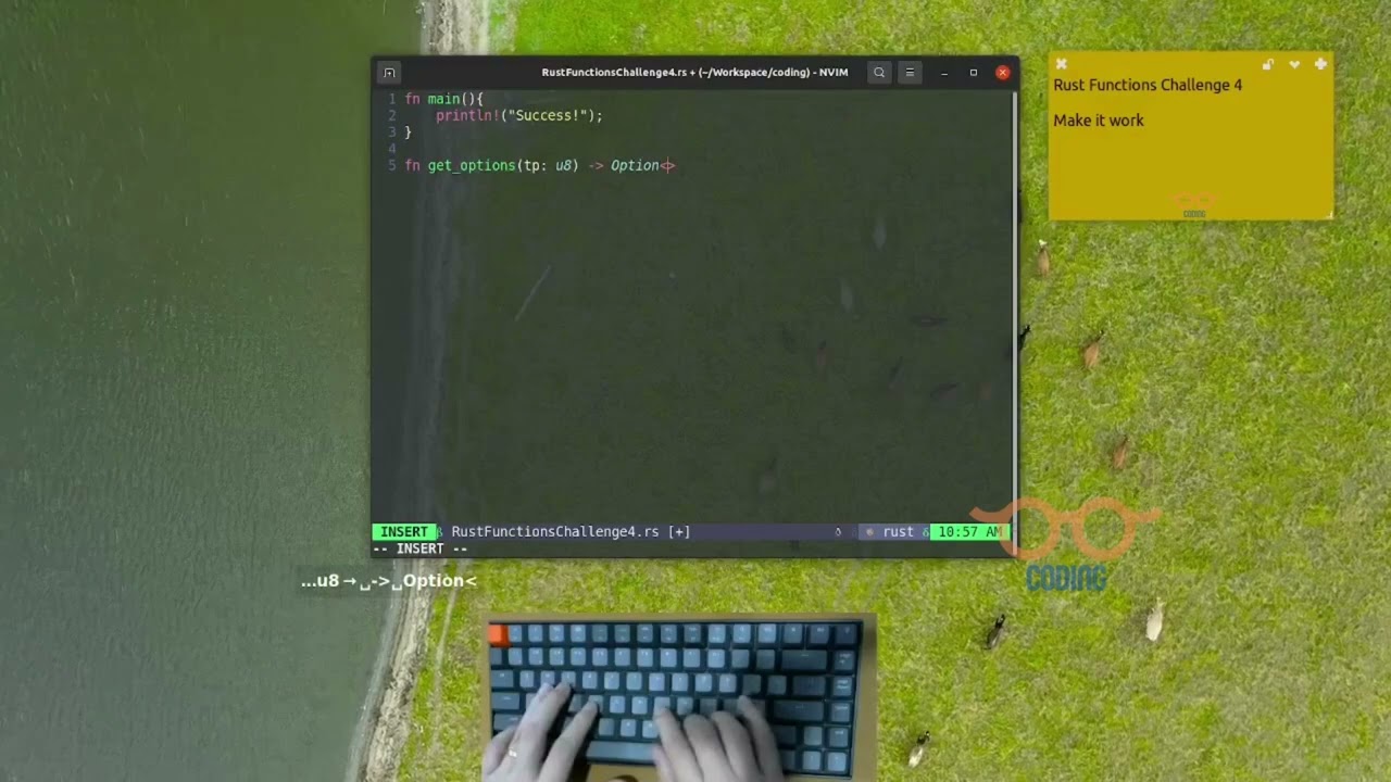 Learning Rust Programming -  Functions - Challenge 4 | ASMR Coding