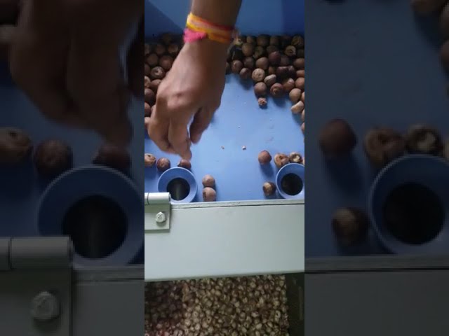 Betel Nut Cutting Machine - Automatic Hydraulic Betel nut Cutting ...
