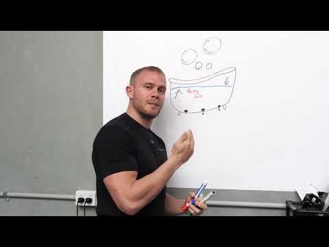 How to Lose Belly Fat