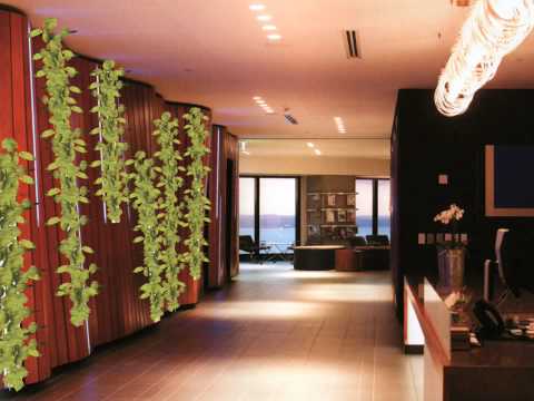 workspace flora - grospline [watch in HD]