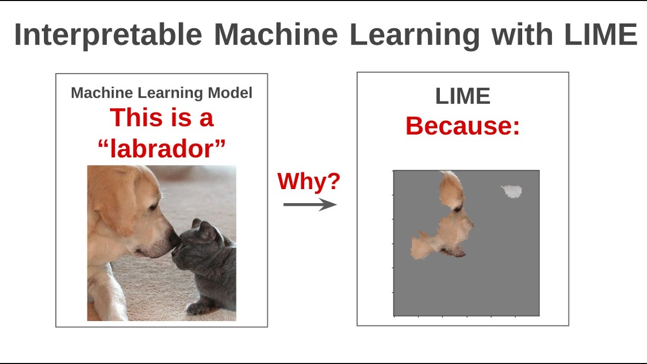 Interpretable Machine Learning for Image Classification with LIME - 5 Min. Tutorial with Python Code