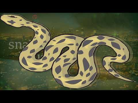 Dream about : snakes in house . | Dream Meanings & Dream Interpretation. Dream Dictionary