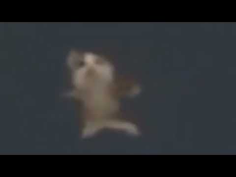 Steam Community :: Video :: schni schna schnappi