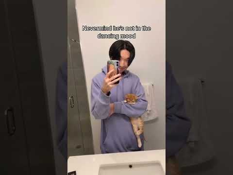 Nya ichi ni san nya arigato 🐱