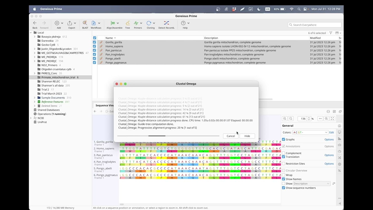How to Align Sequences on Geneious Prime? #Tutorial