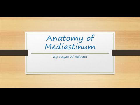 Anatomy of Mediastinum