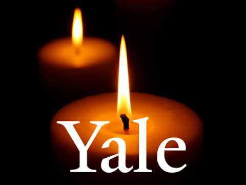 Caring about Species Extinction and Climate Change from a Faith Perspective: An Interview with Ry...