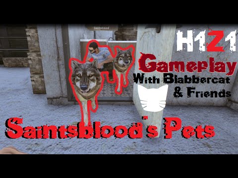 Steam Community :: Video :: H1Z1 Gameplay With Blabbercat - Saintsblood ...