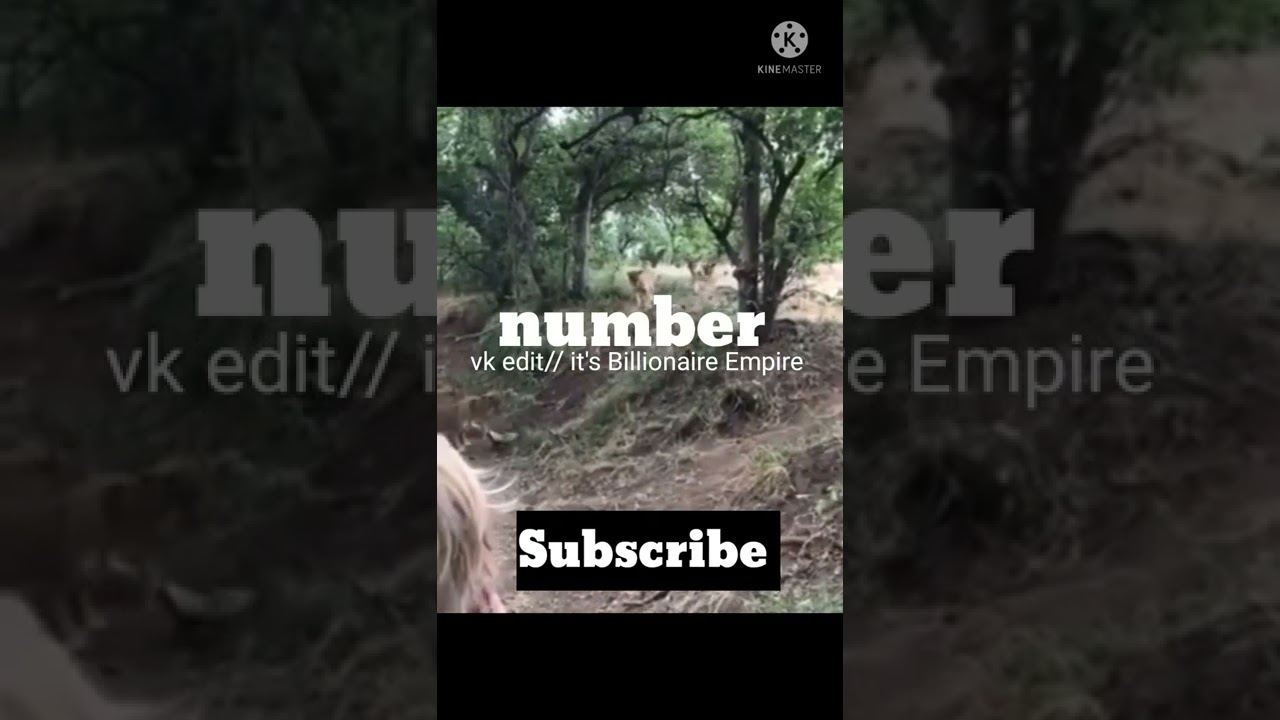 🔥 inspirational quotes ~size doesn't matter// motivational video -never judge a book by it's cover