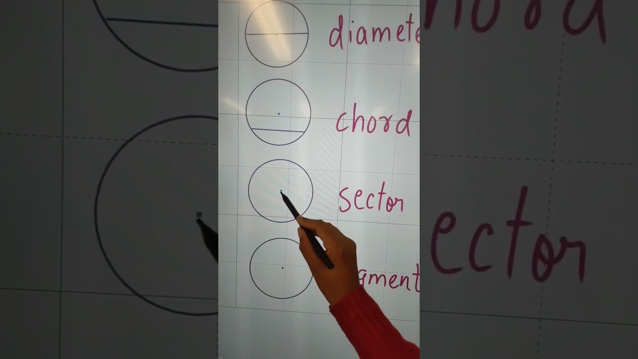 circle terminology | diameter| chord | radius | diameter | segment | learn maths with Ms Gupta