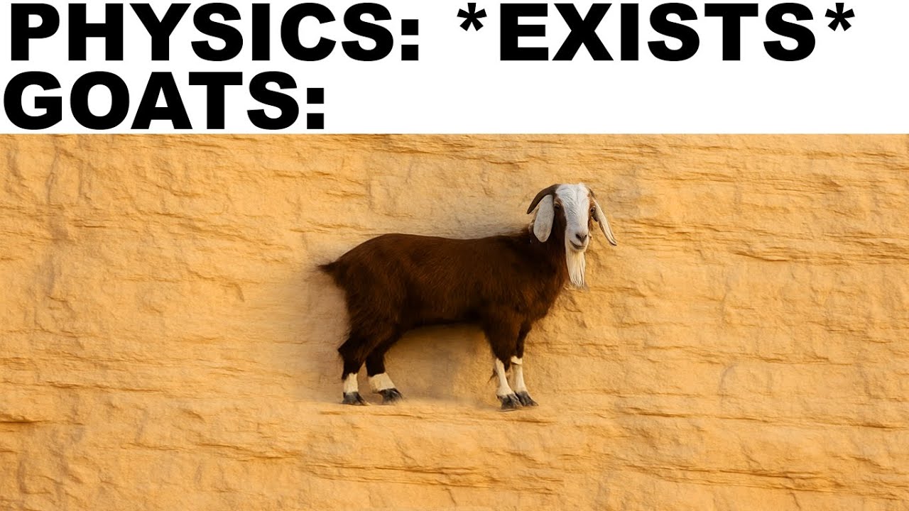 Physics Memes