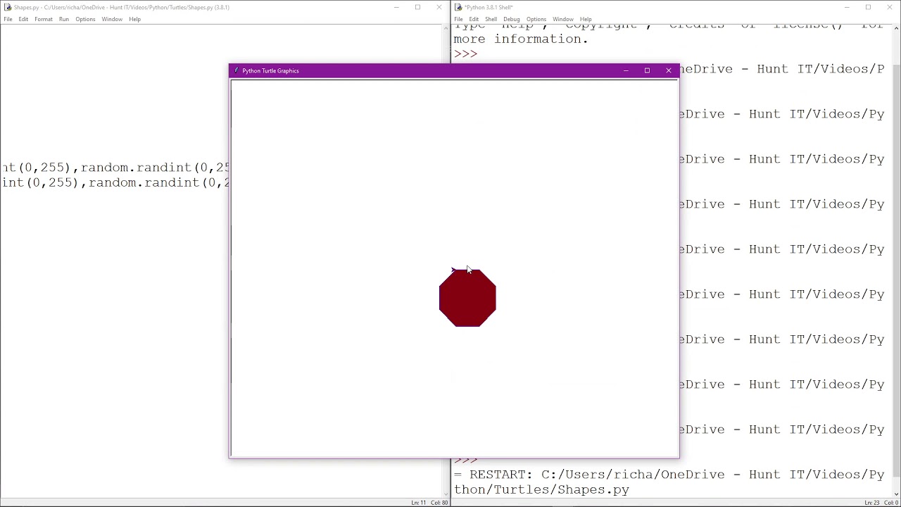 Python Turtles Part 4 - Going a bit random