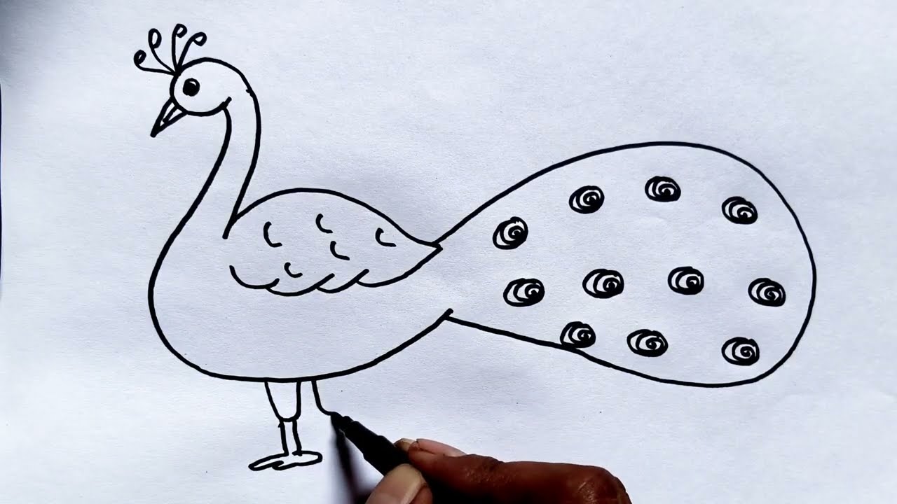 Peacock drawing/How to draw peacock drawing/Peacock drawing tutorial/Mor ki drawing