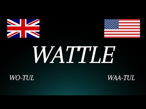 Learn How to Pronounce 'Wattle' Perfectly: UK vs USA (Flower Pronunciation)