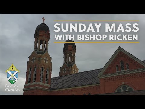 Sunday Mass 6/29/2025