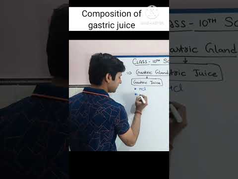 Gastric gland | Composition of gastric juice | #shorts